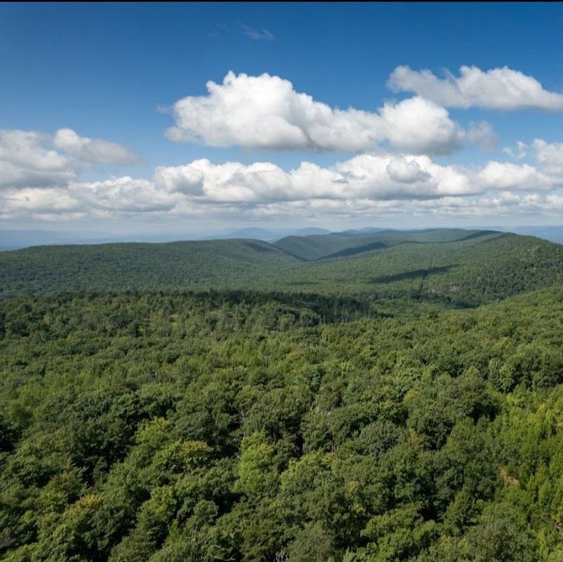 Nice Weather = Summertime Outings - Firetree Ltd.